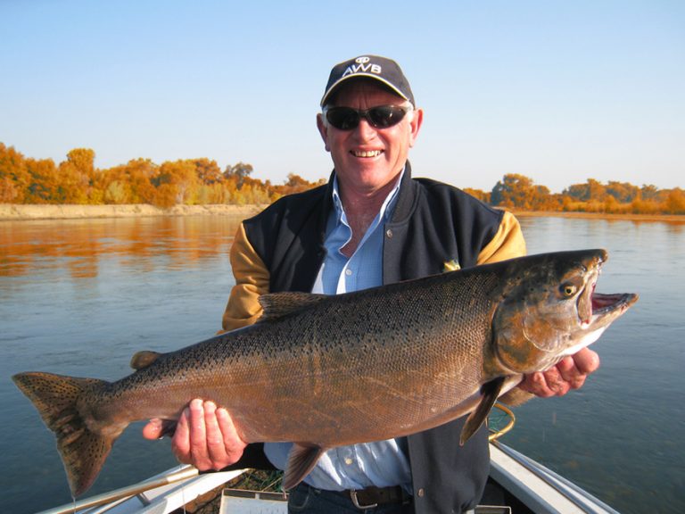Fishing in TRINITY RIVER: The Complete Guide [VIDEO]