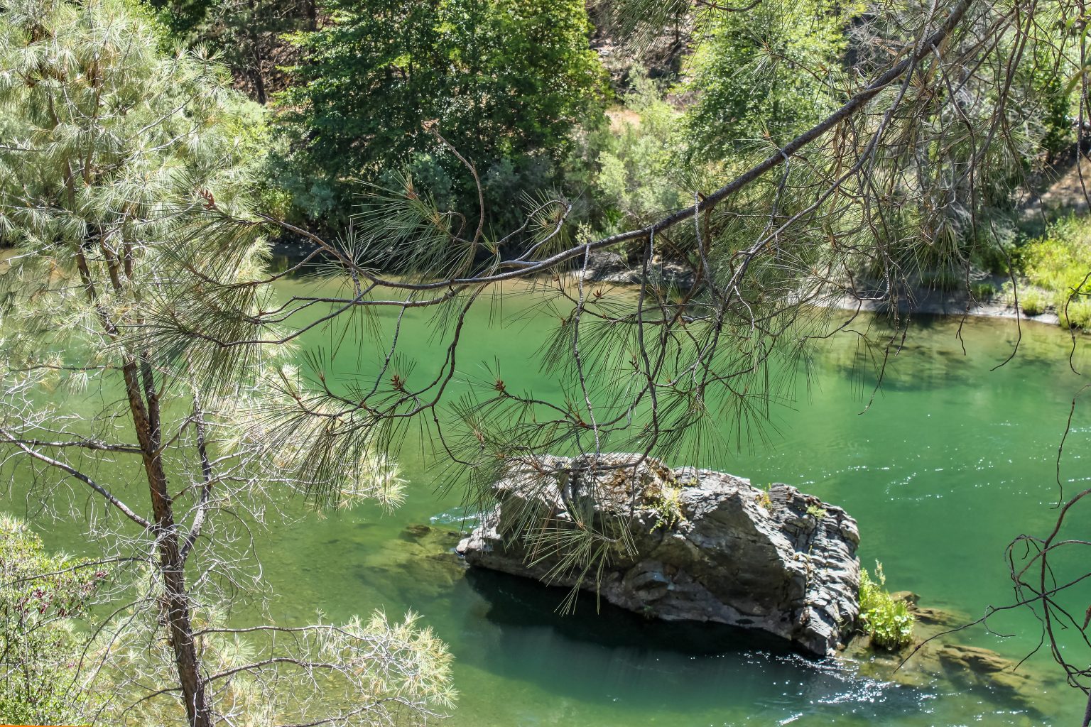 Fishing in TRINITY RIVER: The Complete Guide [VIDEO]