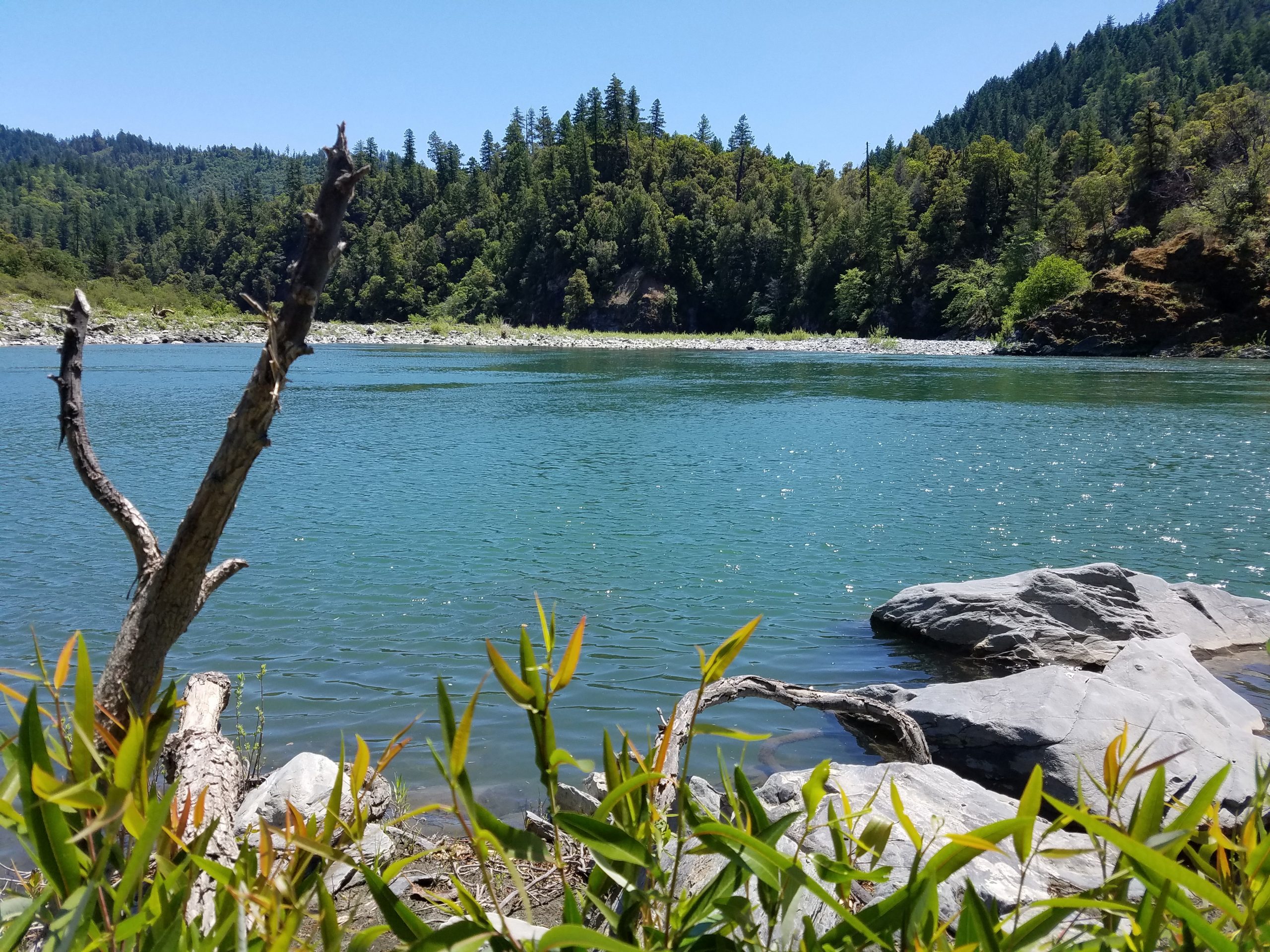 Fishing in TRINITY RIVER: The Complete Guide