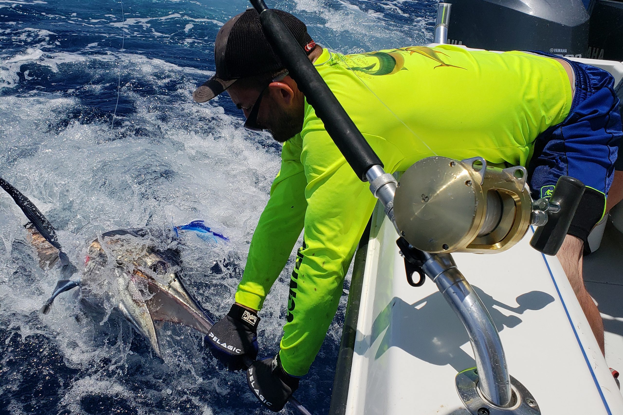 How to Go Oil Rig Fishing in the Gulf of Mexico: The Complete Guide for ...