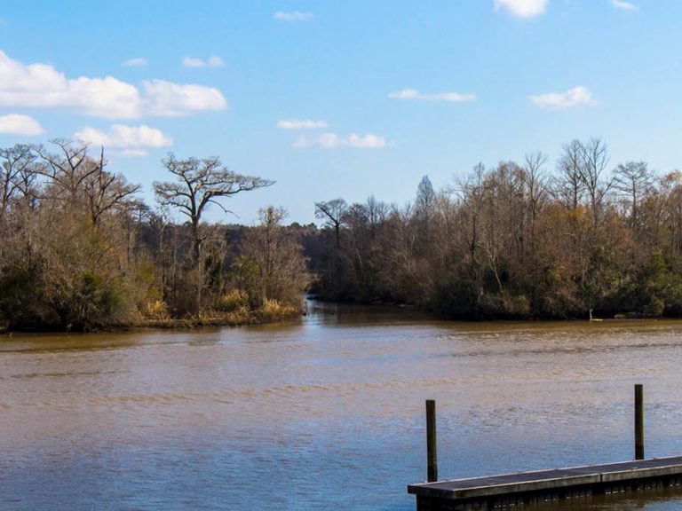 Fishing in SANTEE COOPER: The Complete Guide