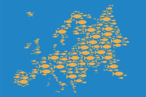 Fishing in EUROPE: The Complete Guide