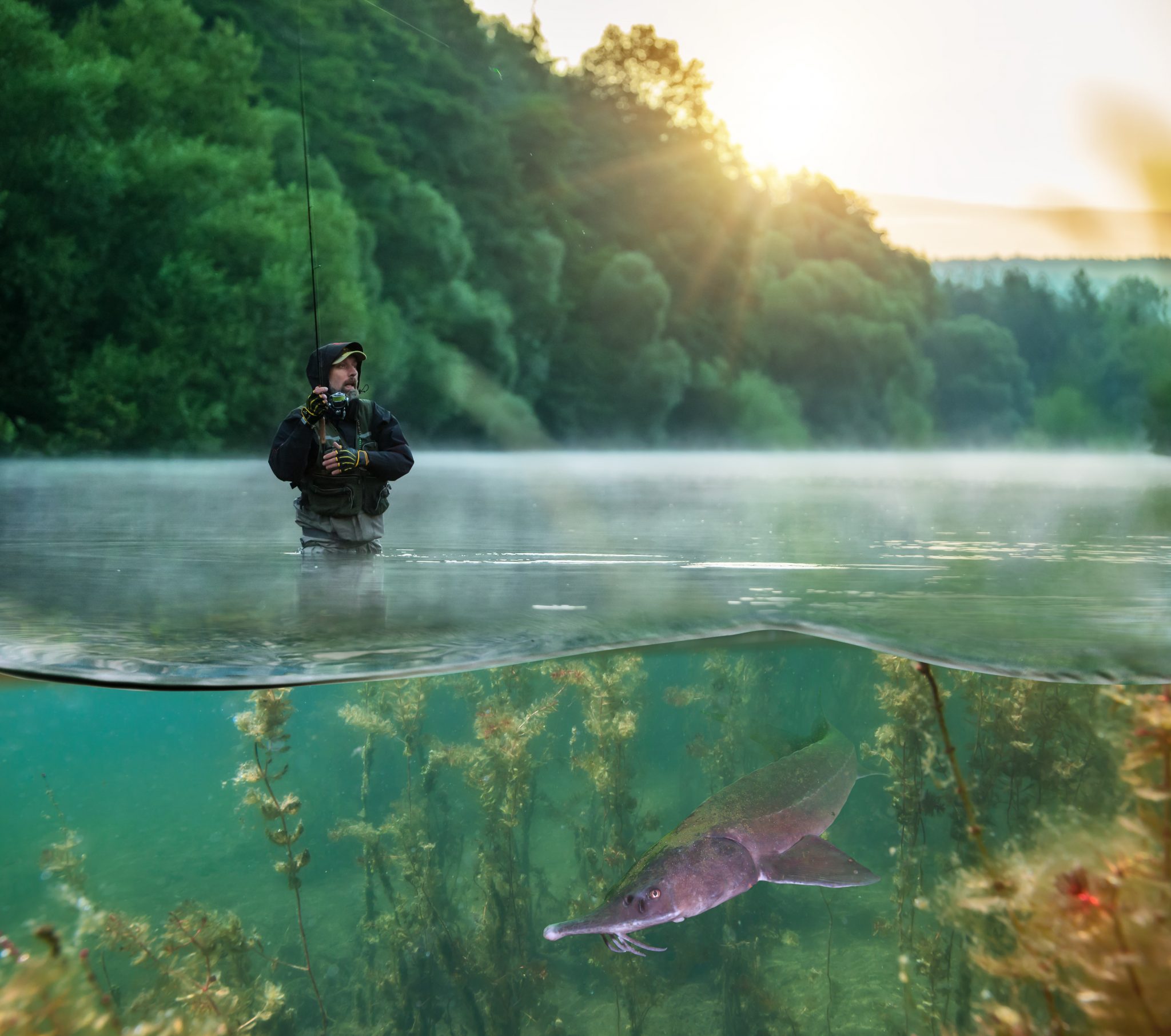 Fishing in LAKE OF THE WOODS: The Complete Guide