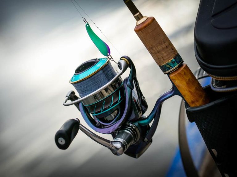 The Best Trout Fishing Lines: An Angler’s Guide for 2026