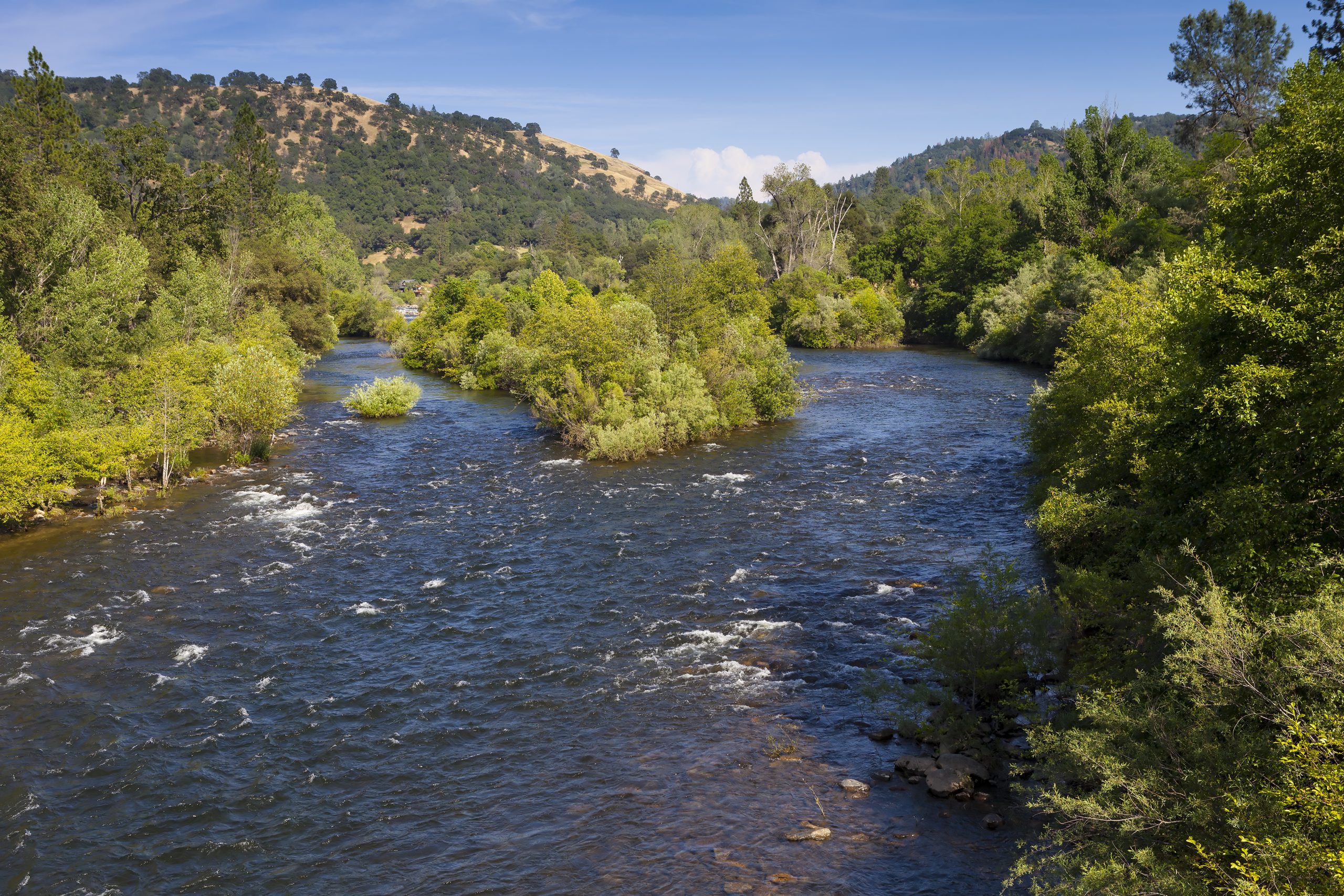 Fishing in SACRAMENTO: The Complete Guide