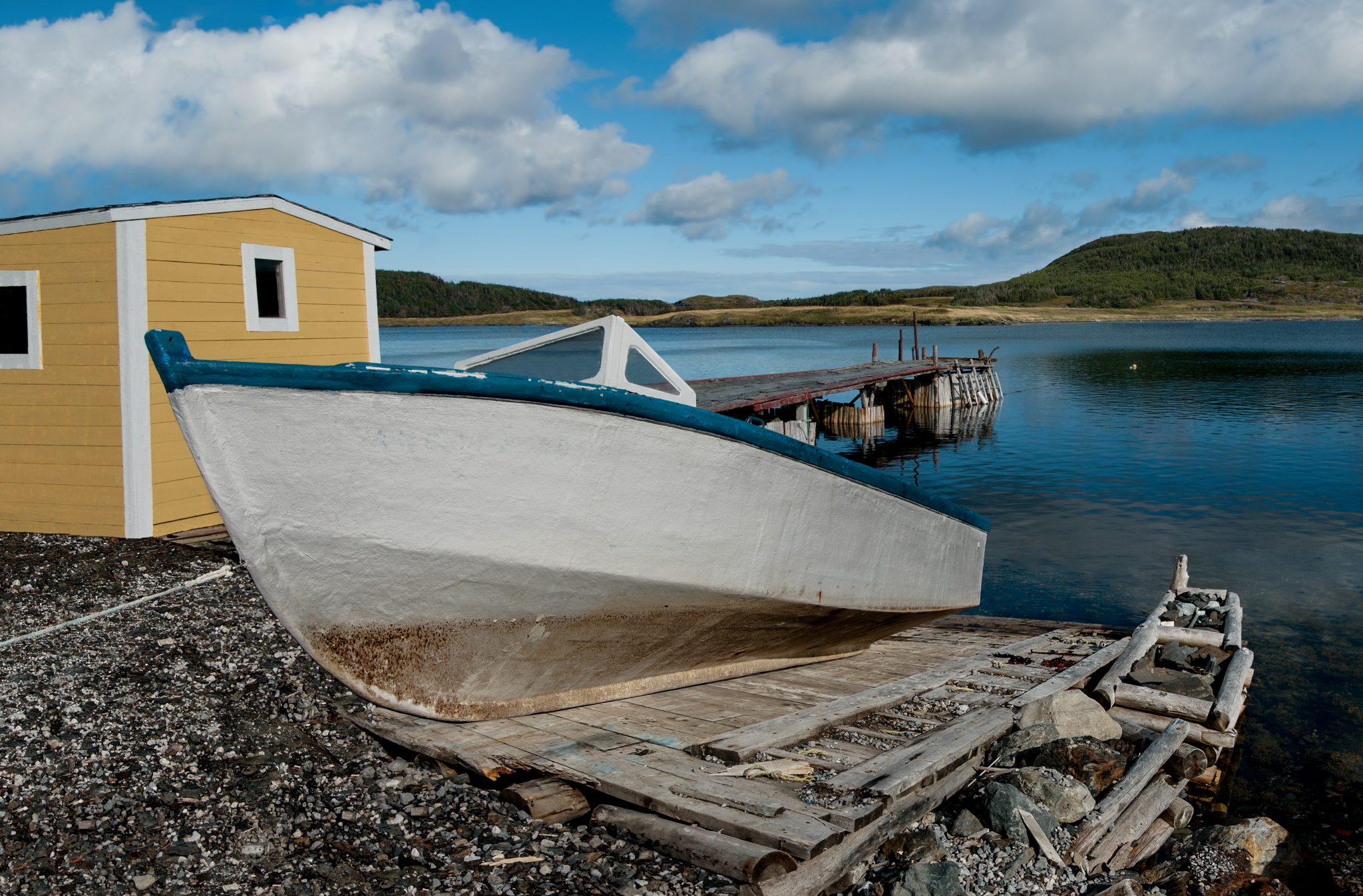 Fishing in NEWFOUNDLAND: The Complete Guide