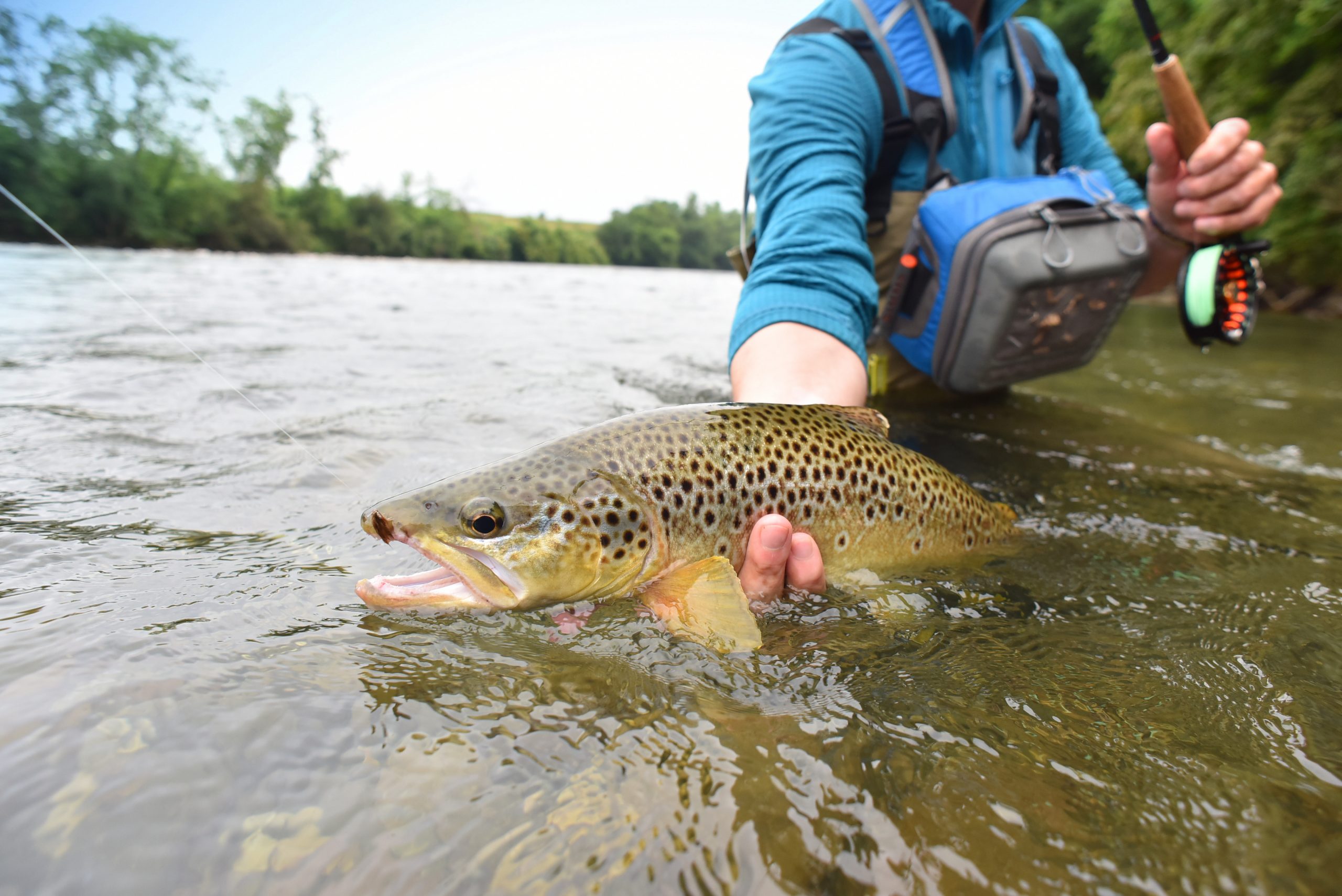 Fishing in NEWFOUNDLAND: The Complete Guide