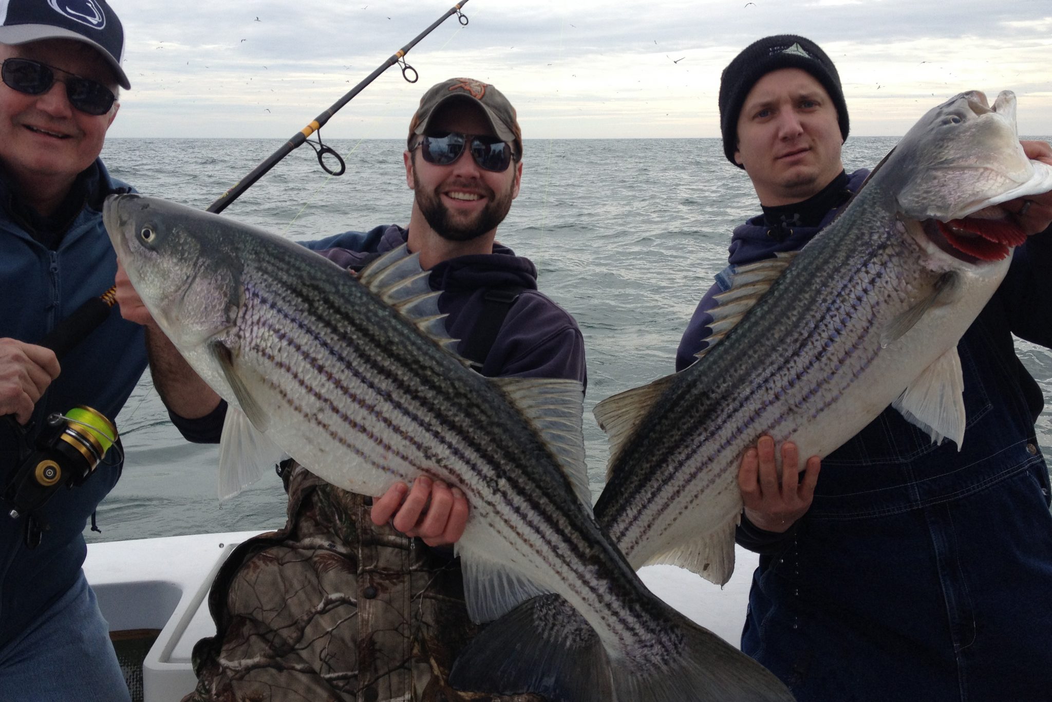 Fishing in POTOMAC RIVER: The Complete Guide