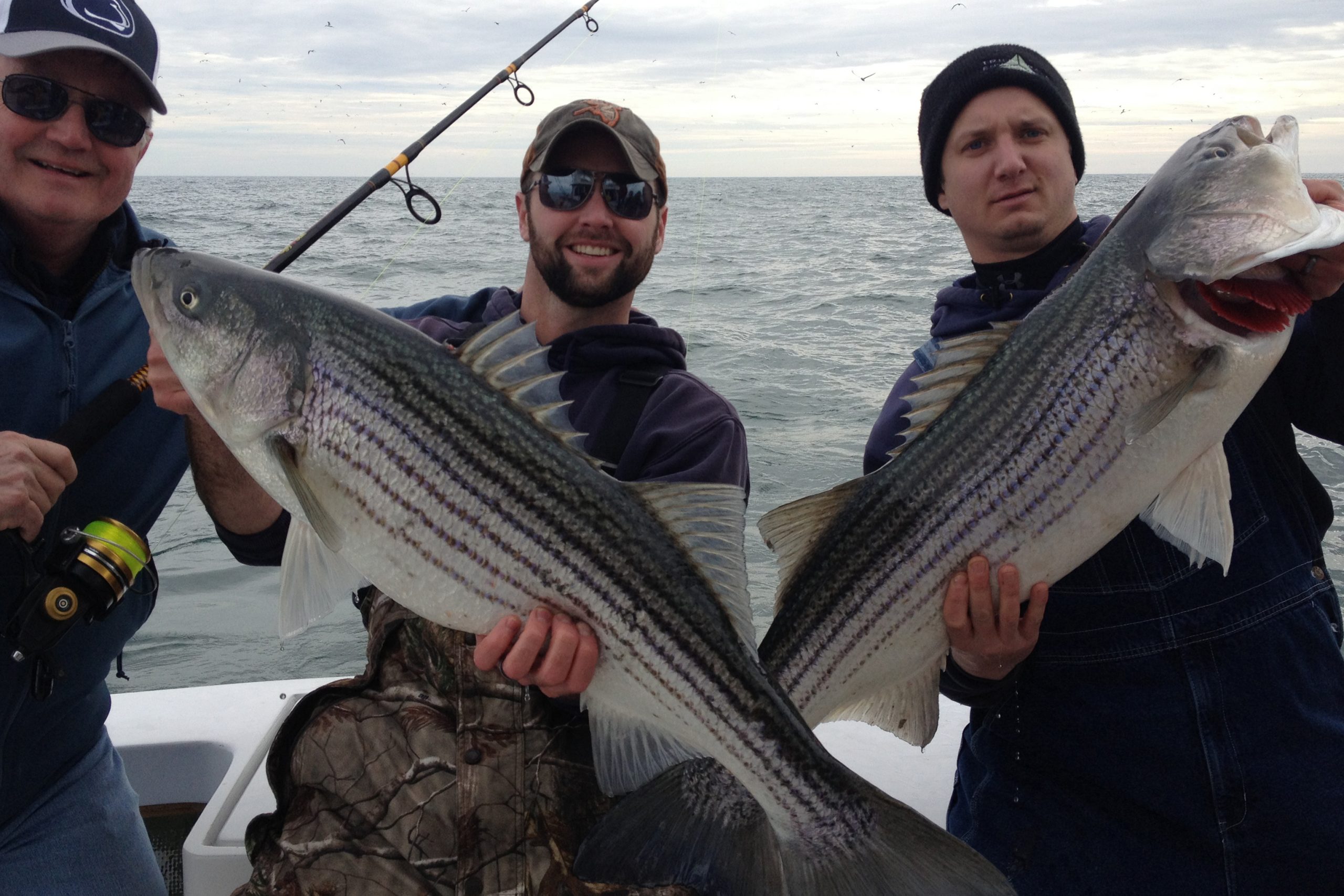 Fishing in POTOMAC RIVER: The Complete Guide