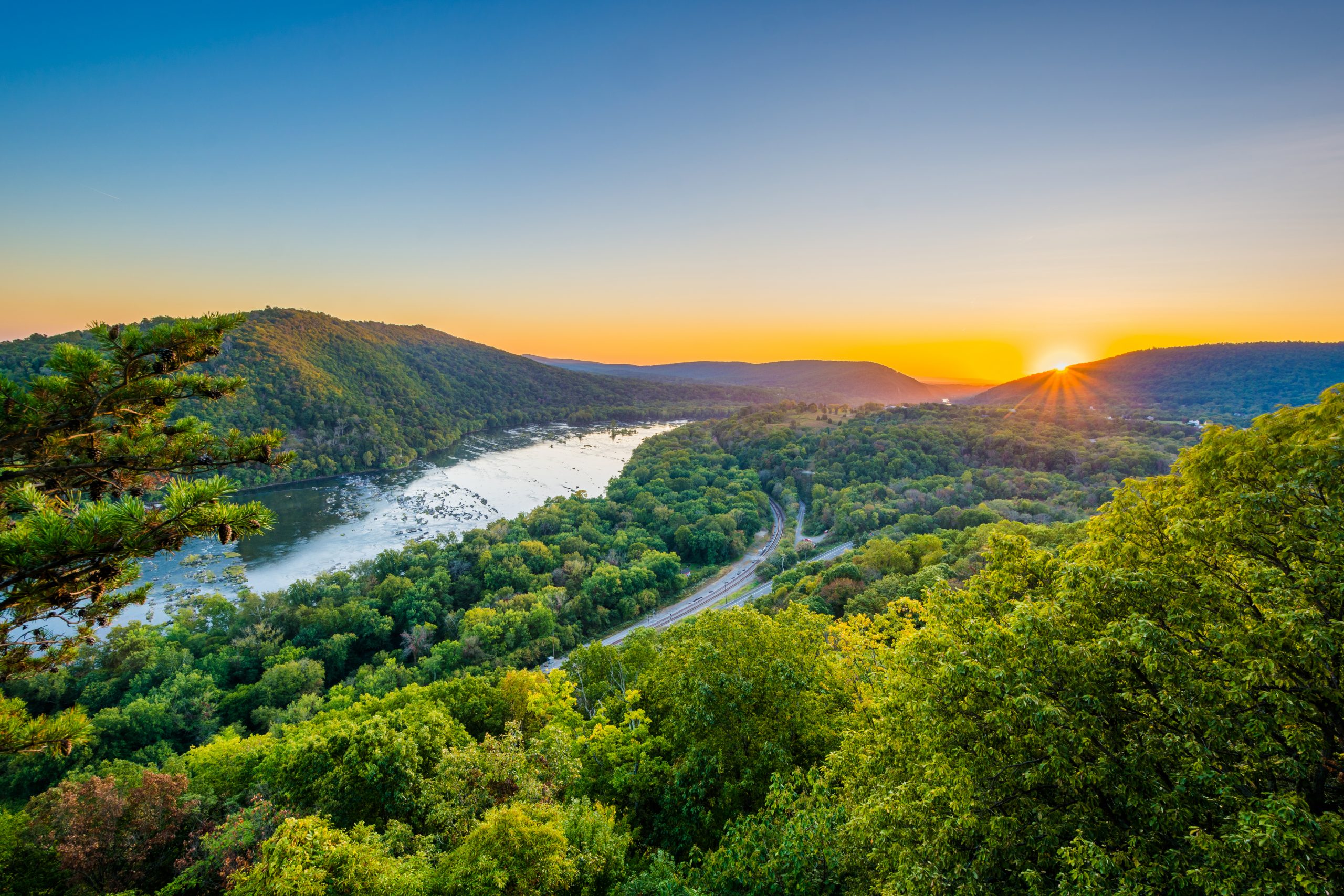 Fishing in POTOMAC RIVER: The Complete Guide