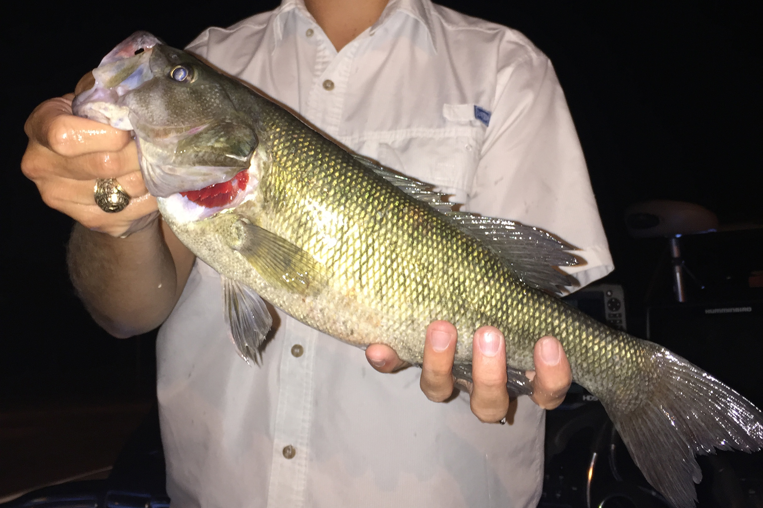 How to Go Fly Fishing in Texas: The Complete Guide for 2025
