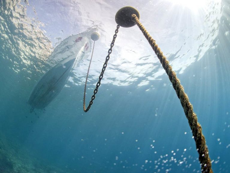 How to Go Bottom Fishing: The Complete Guide