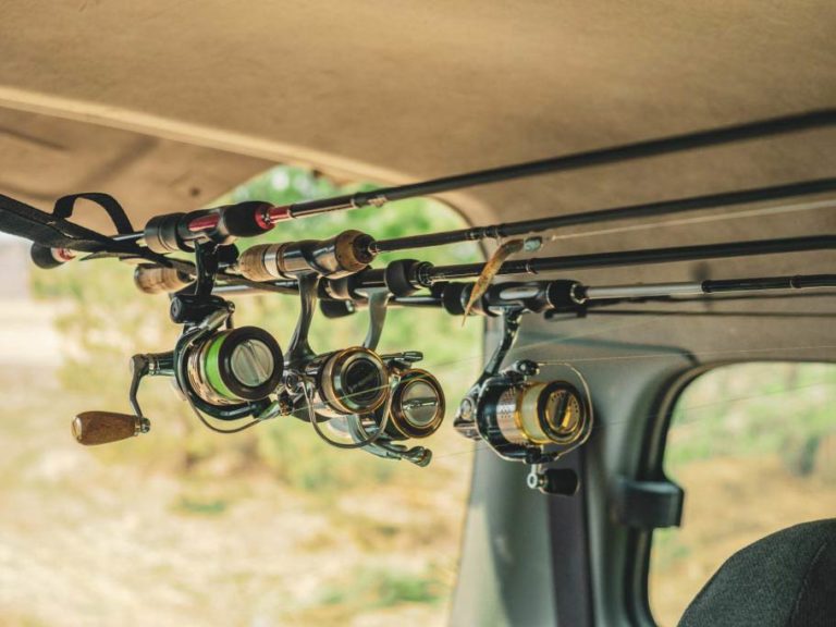 How to Go Bottom Fishing: The Complete Guide