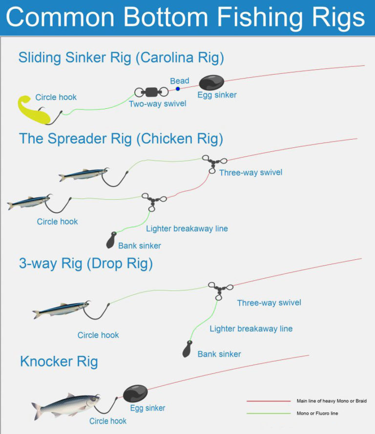 How to Go Bottom Fishing: The Complete Guide