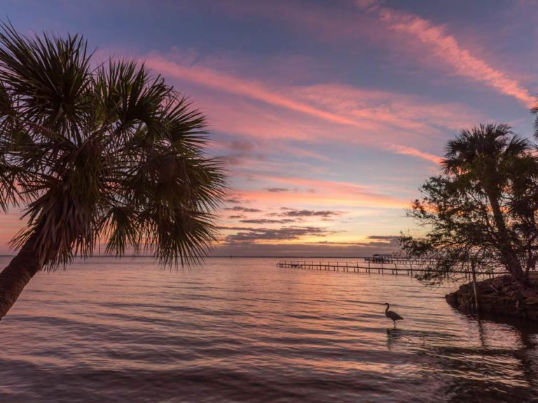 Fishing in INDIAN RIVER: The Complete Guide