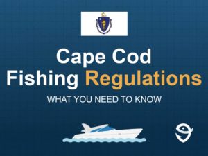 Fishing in CAPE COD: The Complete Guide