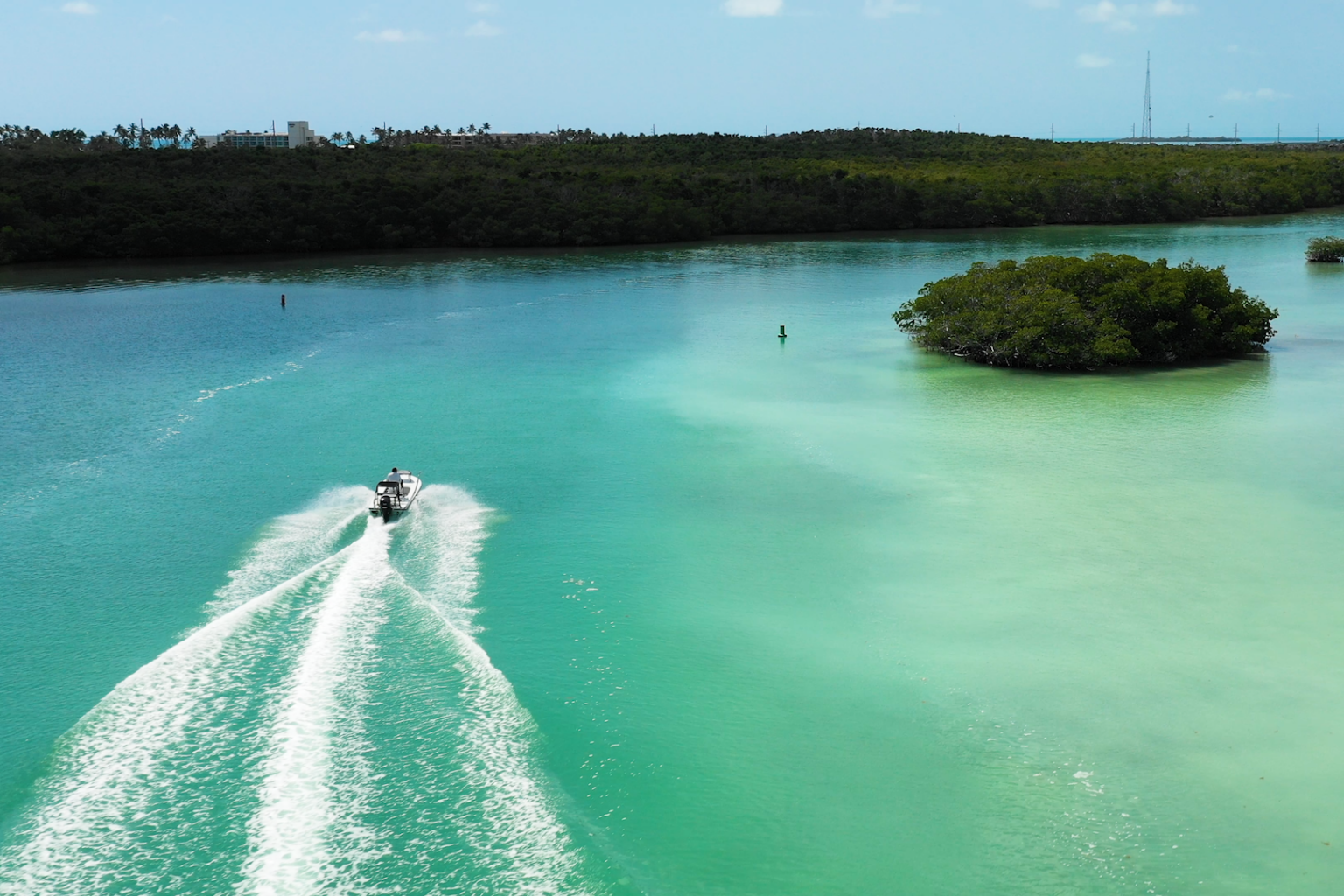 How to Go Fly Fishing in the Florida Keys: The Complete Guide for 2025