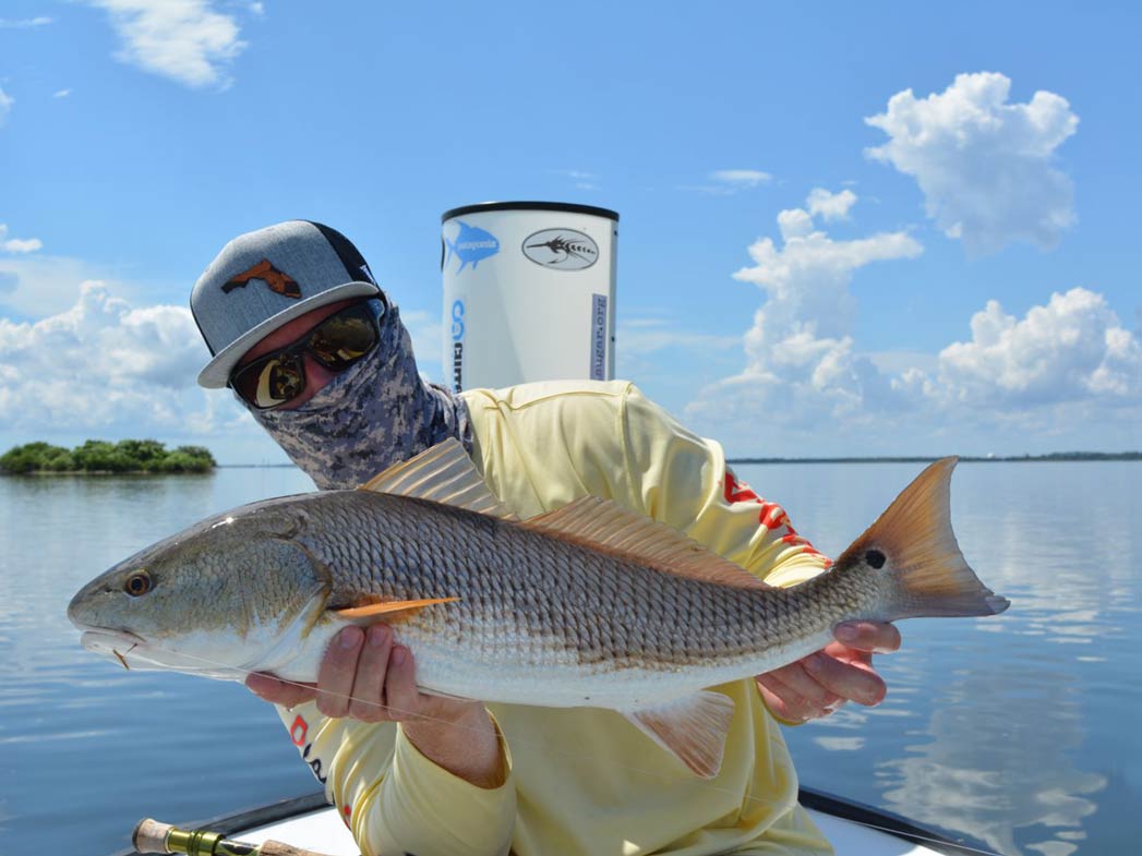 Fishing in INDIAN RIVER: The Complete Guide