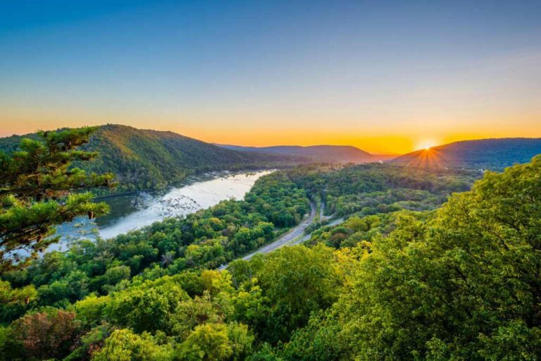 Fishing Near DC: Our Top 7 Picks!