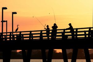 Pier Fishing Tips for Beginners for 2025