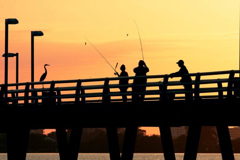 Pier Fishing Tips for Beginners for 2025