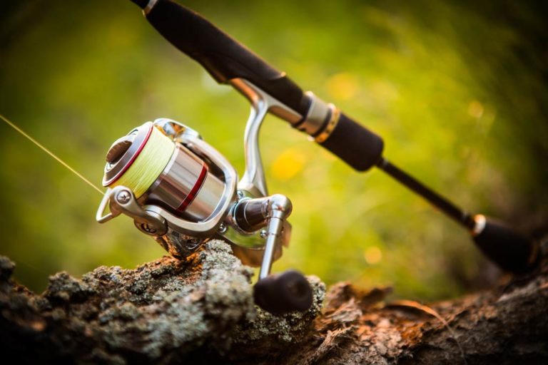 How to Choose a Fishing Rod: The Complete Guide for 2026