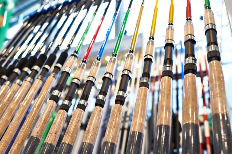 How to Choose a Fishing Rod: The Complete Guide for 2026
