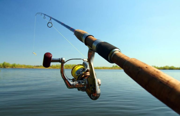 How to Choose a Fishing Rod: The Complete Guide for 2025