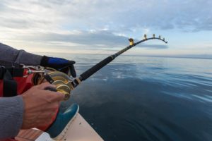 How to Choose a Fishing Rod: The Complete Guide for 2025