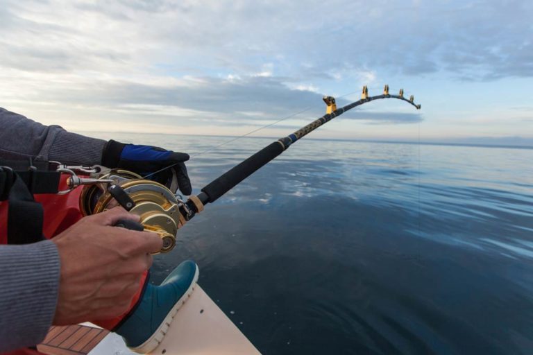 How to Choose a Fishing Rod: The Complete Guide for 2026
