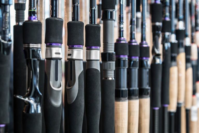 How to Choose a Fishing Rod: The Complete Guide for 2025