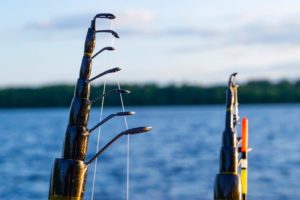 How to Choose a Fishing Rod: The Complete Guide for 2025