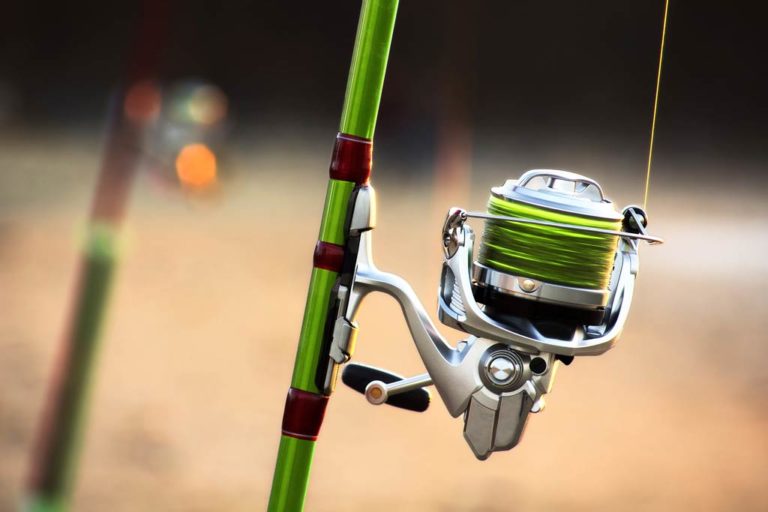 How to Choose a Fishing Rod: The Complete Guide for 2025