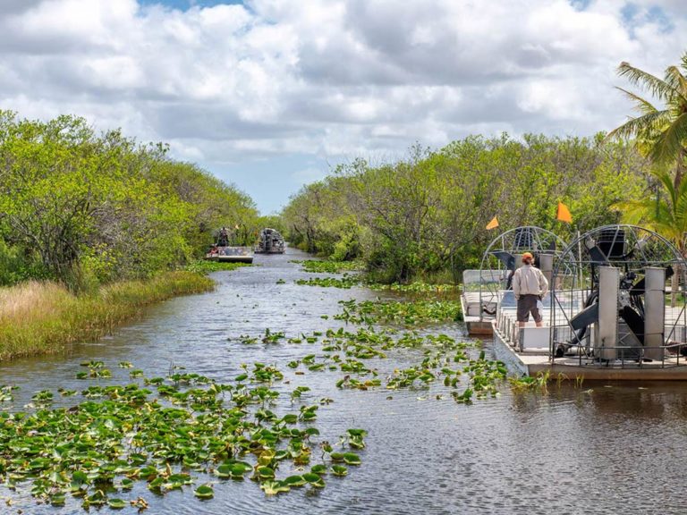 Fishing in EVERGLADES: The Complete Guide [VIDEO]