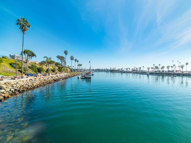 How to Fish for Bonito: The Complete Guide for 2026