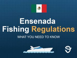 Fishing in ENSENADA: The Complete Guide