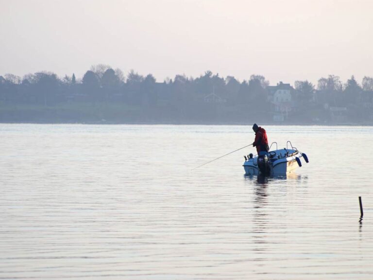 Fishing in DENMARK: The Complete Guide