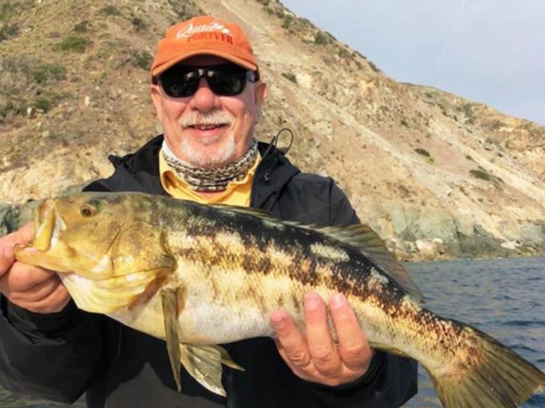 Fishing in CATALINA ISLAND: The Complete Guide