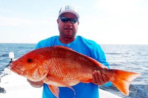 Types of Snapper in Florida: A Quick Guide for 2026 [VIDEO]
