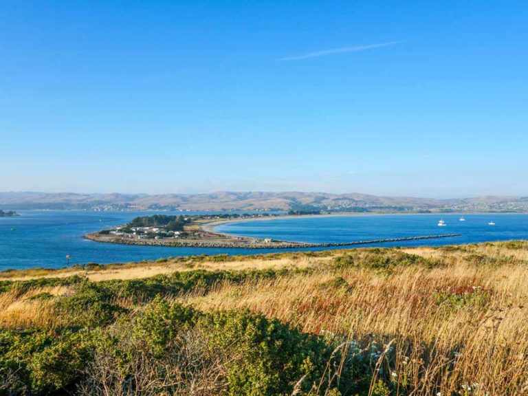 Fishing in BODEGA BAY: The Complete Guide