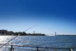 Fishing in LONG ISLAND: The Complete Guide