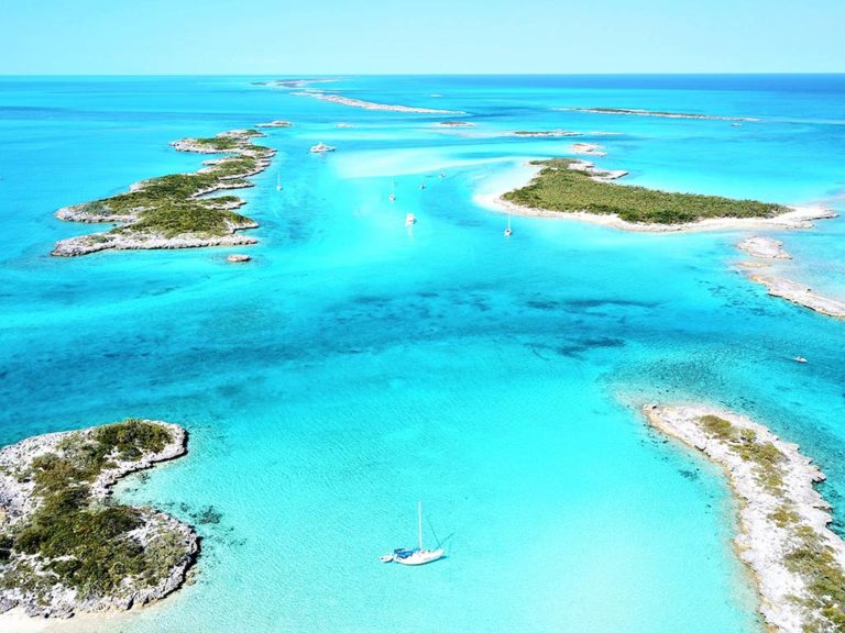 Fishing in BAHAMAS: The Complete Guide
