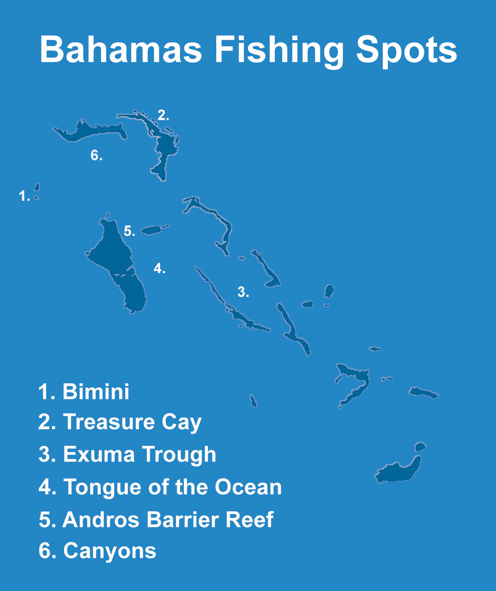 Fishing in BAHAMAS: The Complete Guide