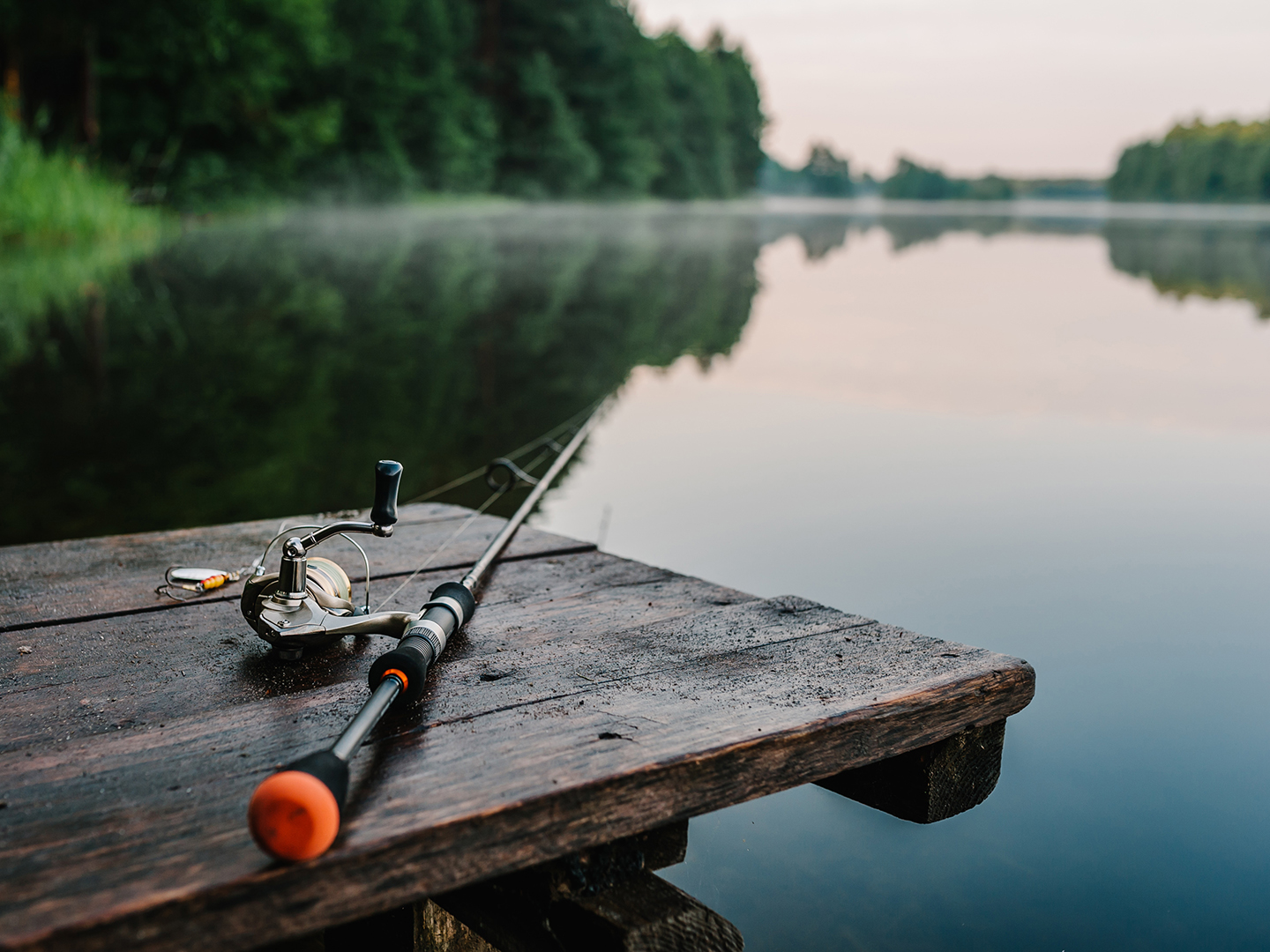 Finesse Fishing For Bass: Tackle, Techniques, and More for 2025