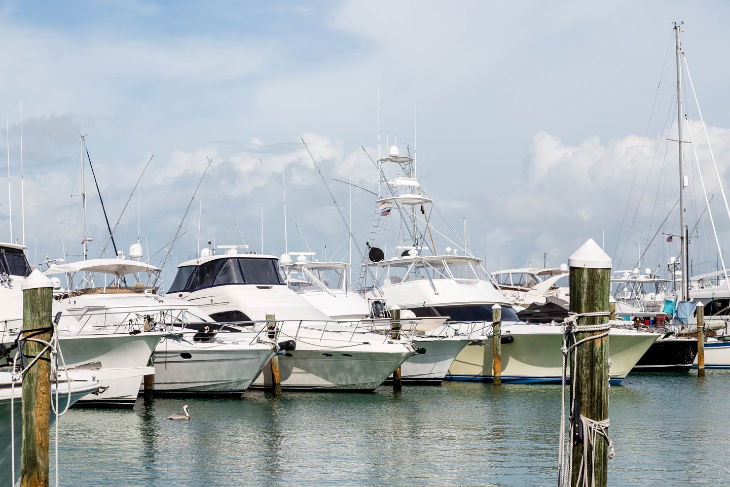 Fishing in GULF OF AMERICA: The Complete Guide [VIDEO]