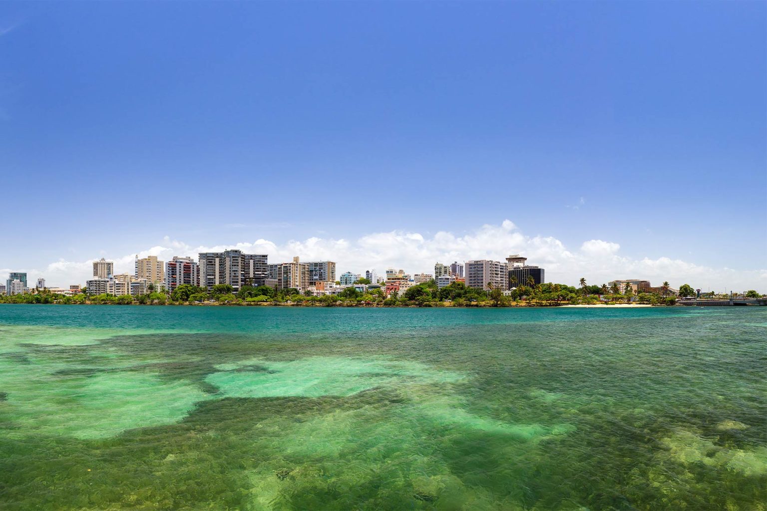 Fishing in PUERTO RICO: The Complete Guide