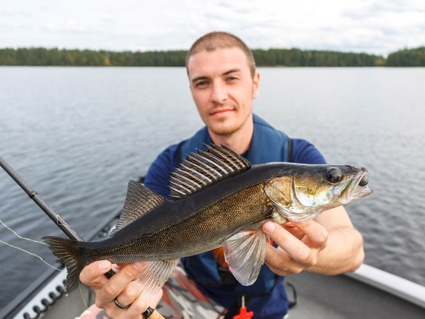 Fishing in BALTIC SEA: The Complete Guide