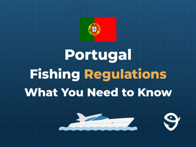 Fishing in PORTUGAL: The Complete Guide