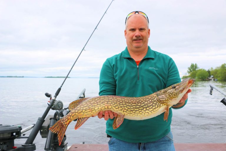 Fishing in TORONTO: The Complete Guide