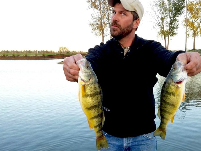 Fishing in LAKE ST. CLAIR: The Complete Guide